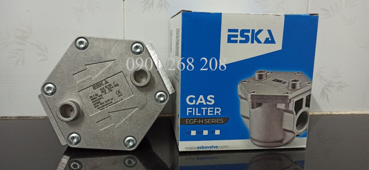 GAS FILTER DN25