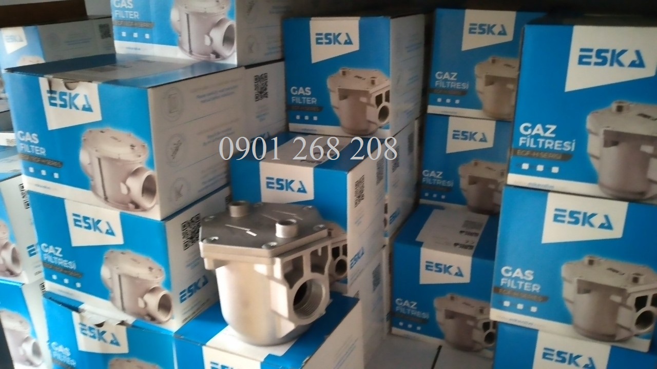GAS FILTER DN25